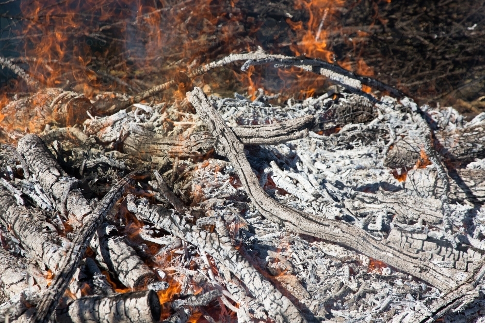 Image of Grey ash and embers in a fire - Austockphoto