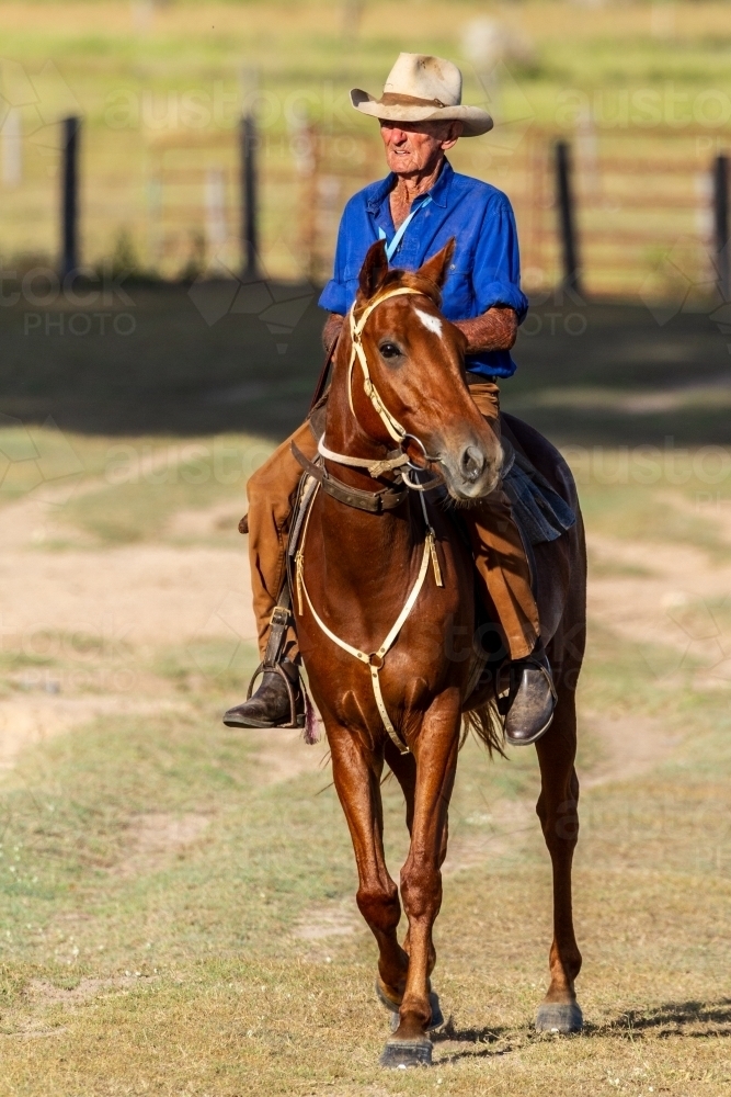 Image of A 90 year old stockman on his horse. - Austockphoto