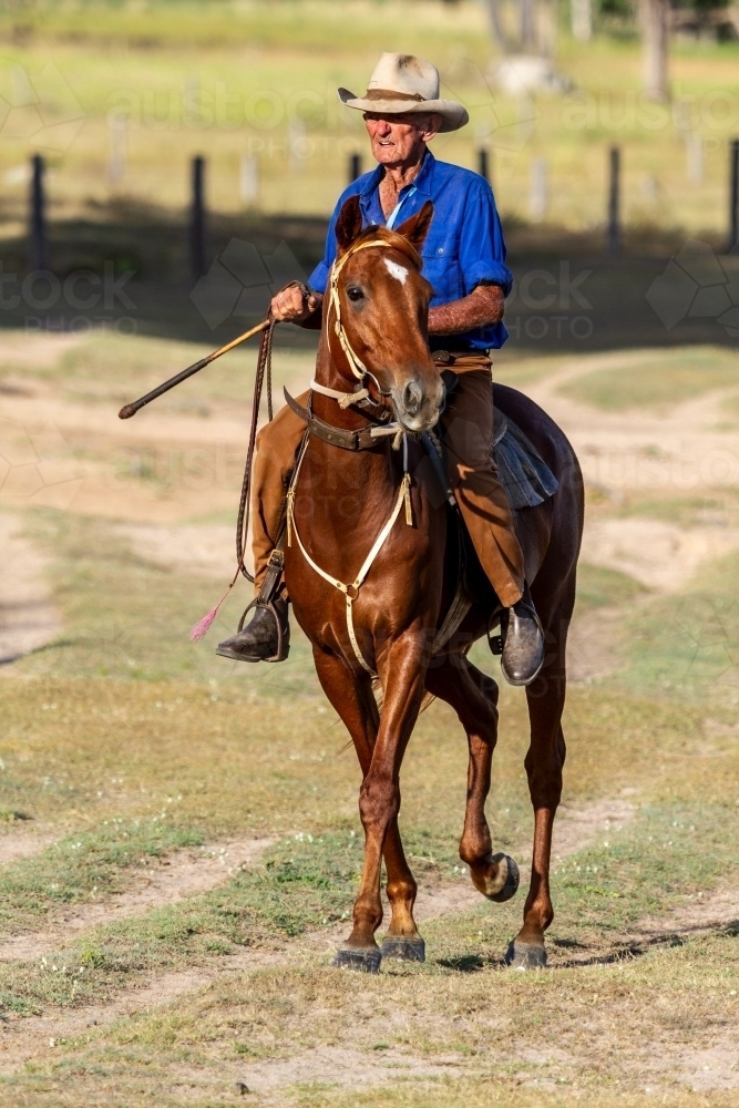 Image of A 90 year old stockman with whip, on his horse. - Austockphoto