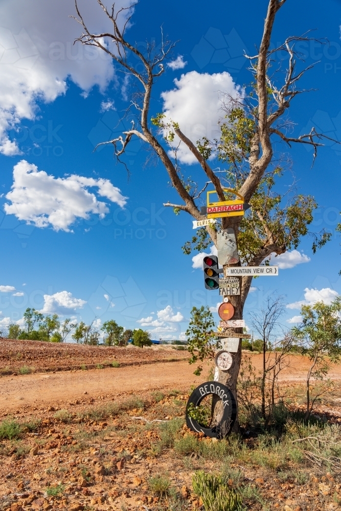 Image of A bent old tree with variety of rustic signs attached next to ...