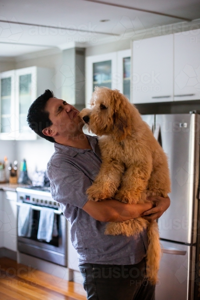 Image of a big brown dog licking the face of the man while being ...