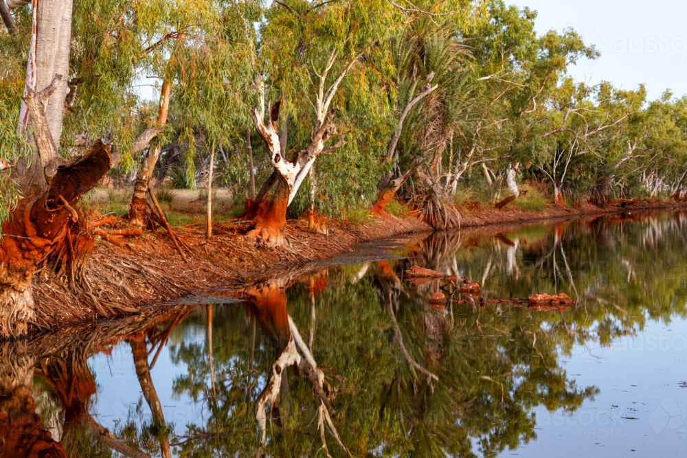 Image of A billabong in the Pilbara region of Western Australia ...