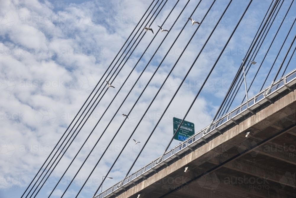 Image of a cable stayed bridge with birds flying in a cloudy sky ...