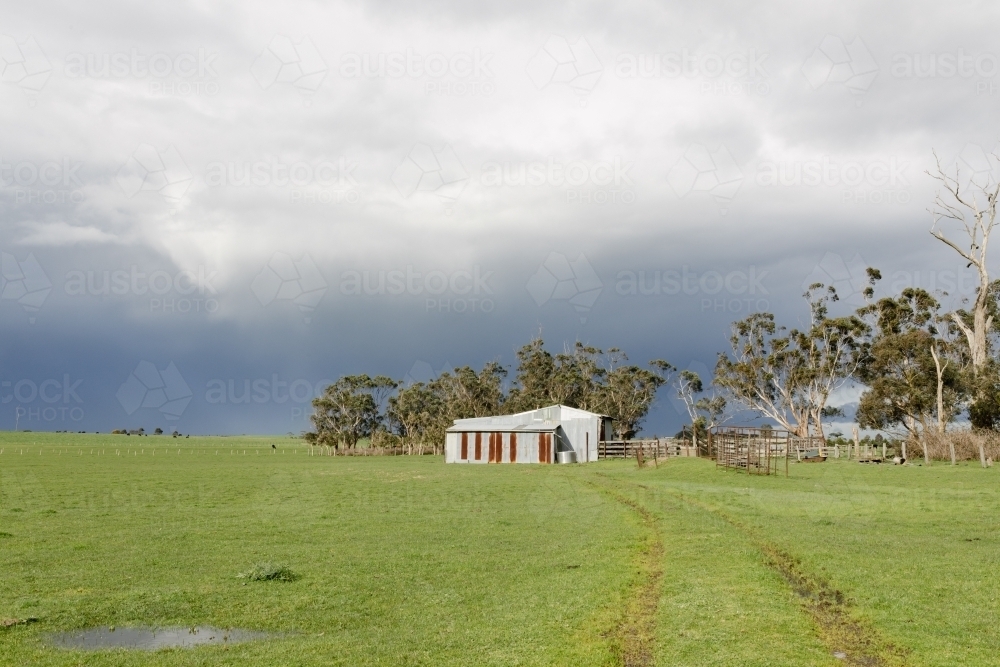 Image of A corrugated iron shed on an Australian farm with green grass ...