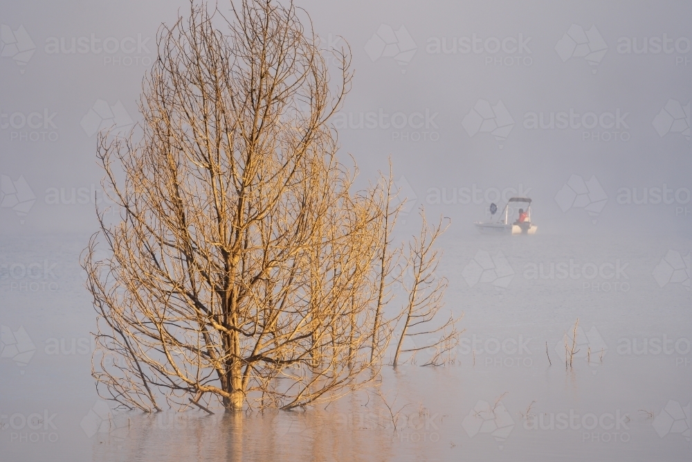 Image of A dead tree deep in water near a fisherman on a small boat in ...