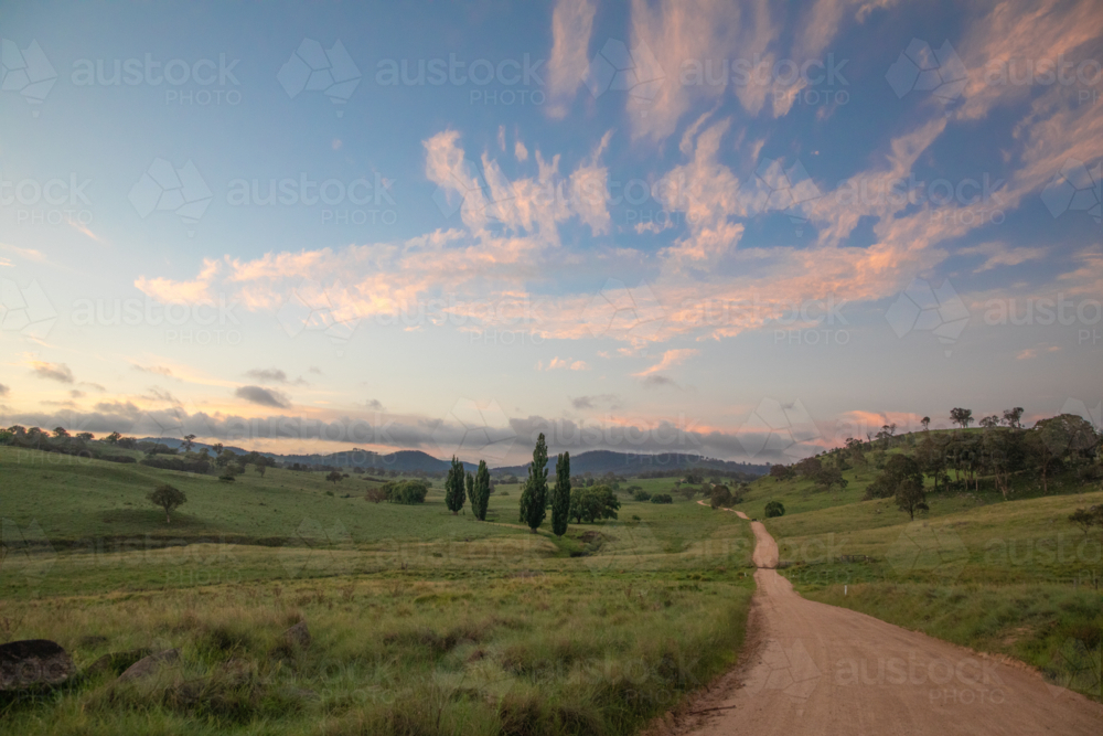 Image of A dirt country road under a sunrise sky with clouds and poplar ...