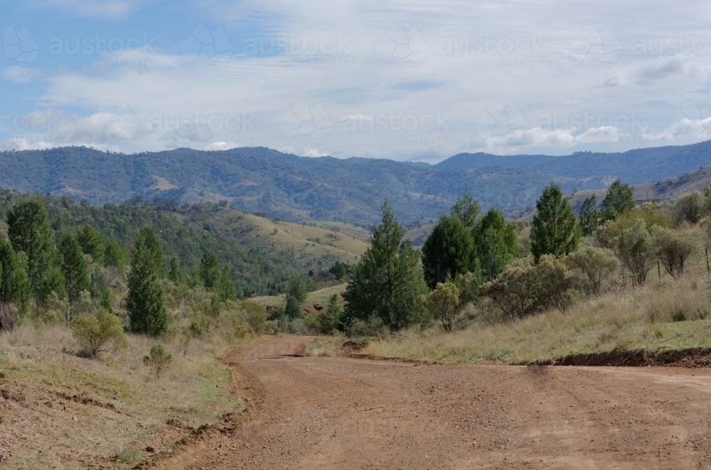 Image of A dirt road winding through a grassy area with scattered trees ...