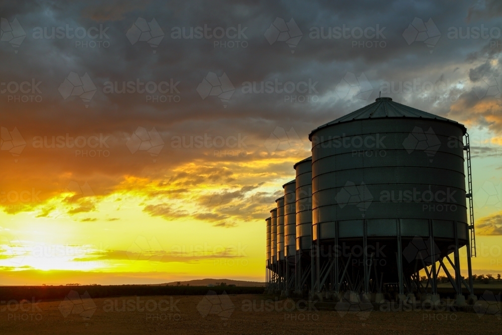 Image of A dramatic sunset over six grain silos on a farm near Breeza ...