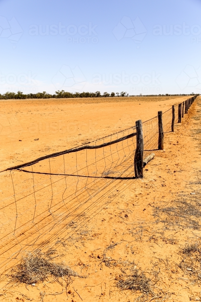 Image of A fence and dusty paddock in drought affected Queensland ...
