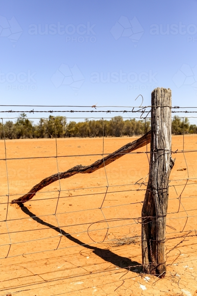 Image of A fence and dusty paddock in drought affected Queensland ...
