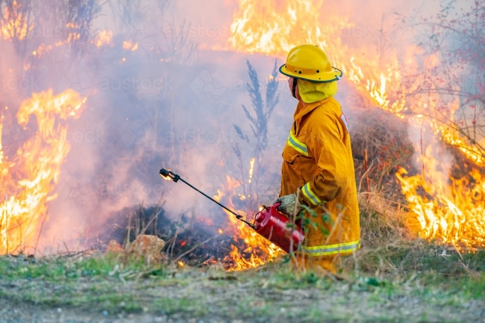 Image of A fireman using a torch watching over a fuel reduction burn ...