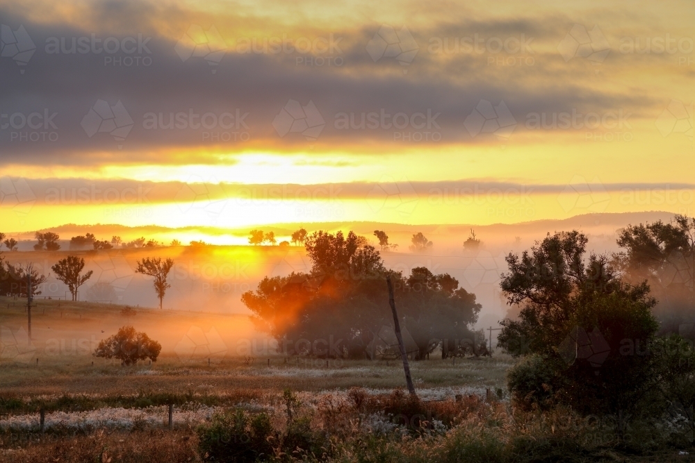 Image of A foggy and colourful sunrise in rural Queensland. - Austockphoto
