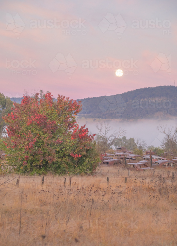 Image of A full moon in a dawn sky overlooking a misty country scene ...