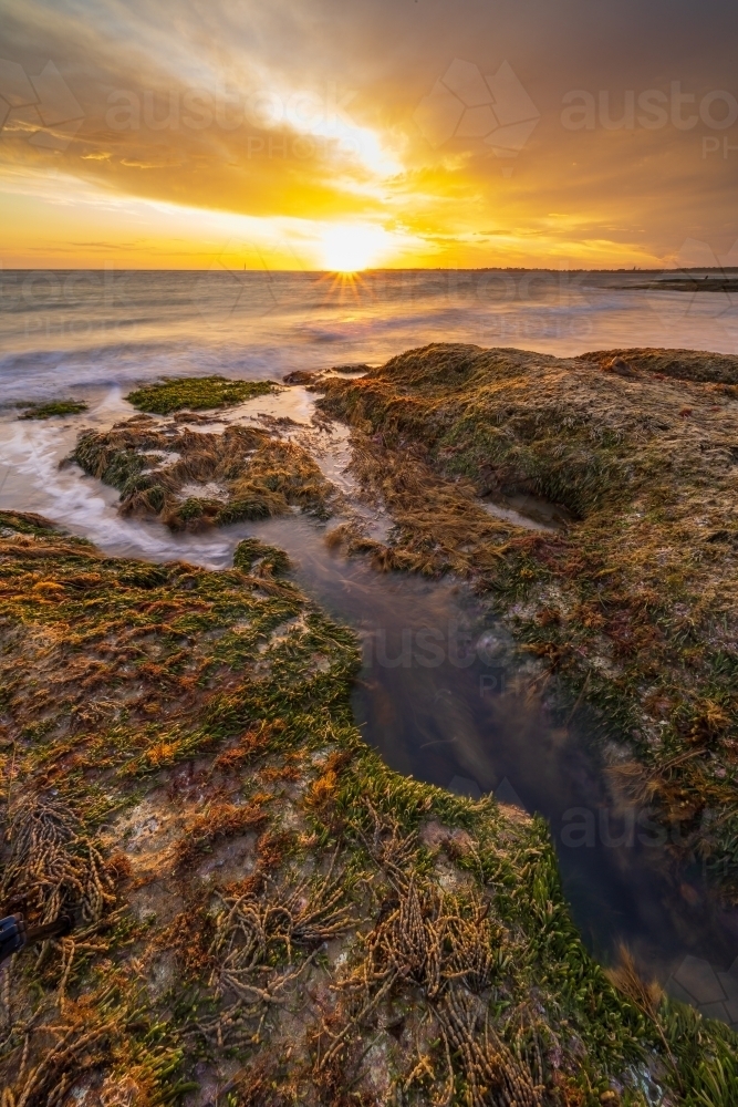 Image of A golden sunset over a seaweed covered rock pool - Austockphoto