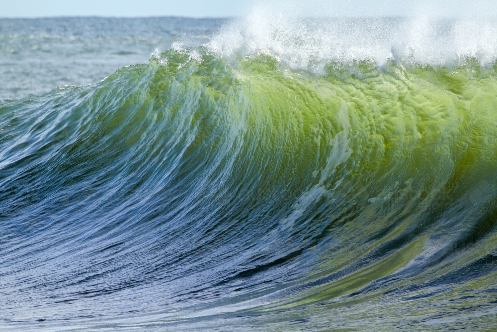 Image of A green wave curls and breaks over Snapper Rocks. - Austockphoto
