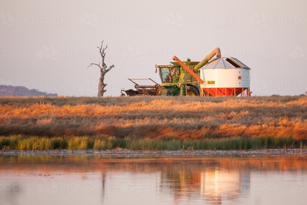 Image of A harvester and field bins on a dam bank reflecting in the ...