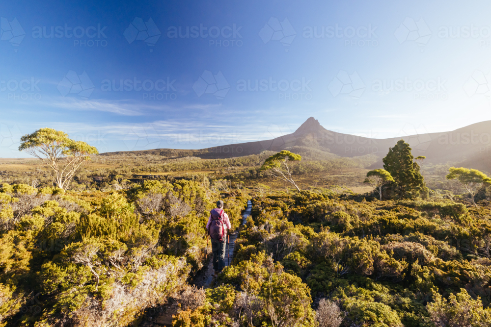 Image of A hiker amongst wide landscape views at sunset of Barn Bluff ...