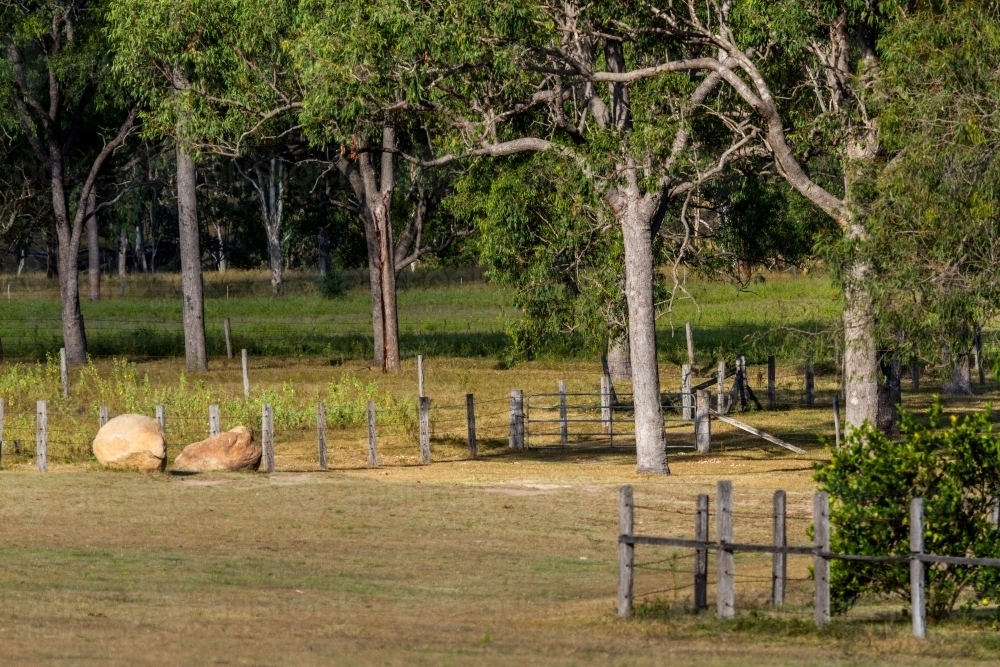 Image of A house paddock with fences, trees, and boulders. - Austockphoto
