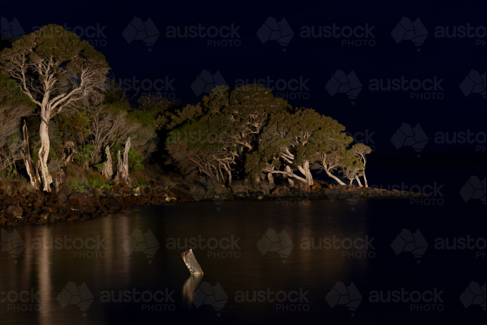 Image of A light-painting of trees and shoreline of an estuary ...