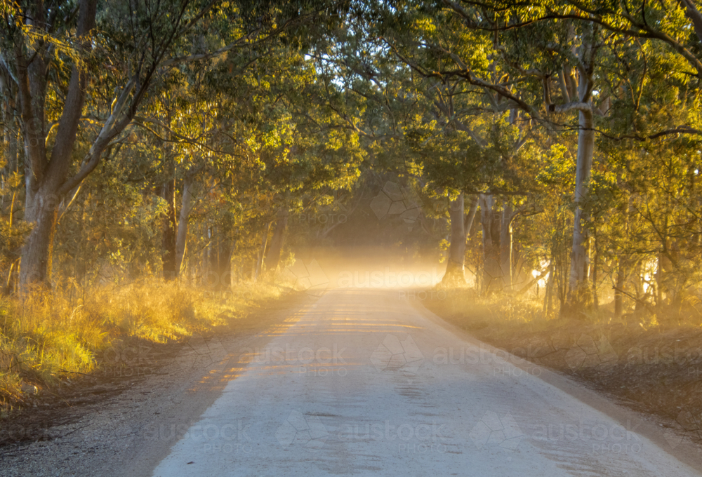Image of A misty morning on a country road - Austockphoto