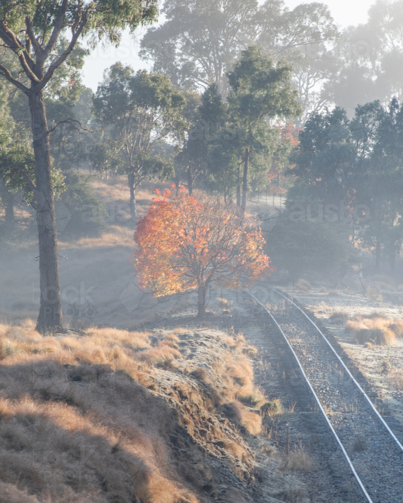 Image of A misty morning on some old country train tracks with one ...