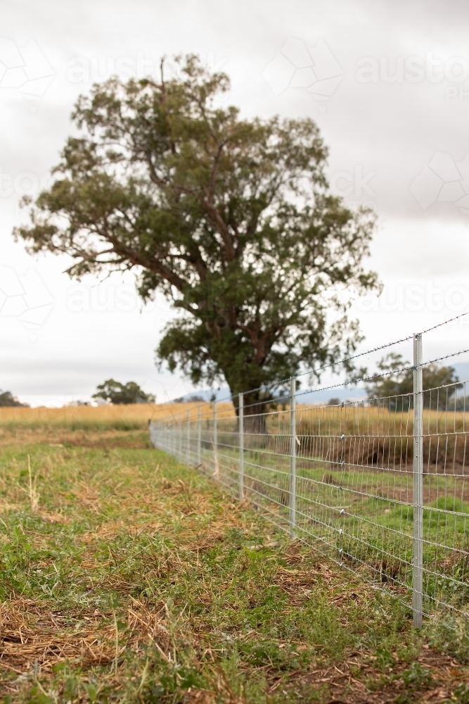 Image of A new boundary fence on a farm - Austockphoto