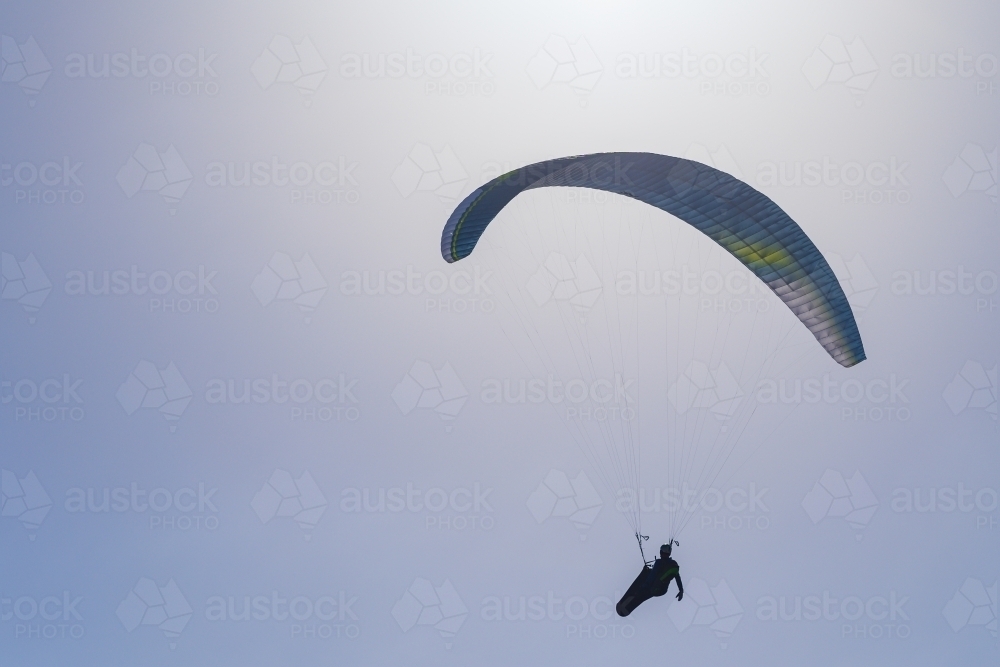 Image of A parasailer silhouetted high in a sunny blue sky - Austockphoto