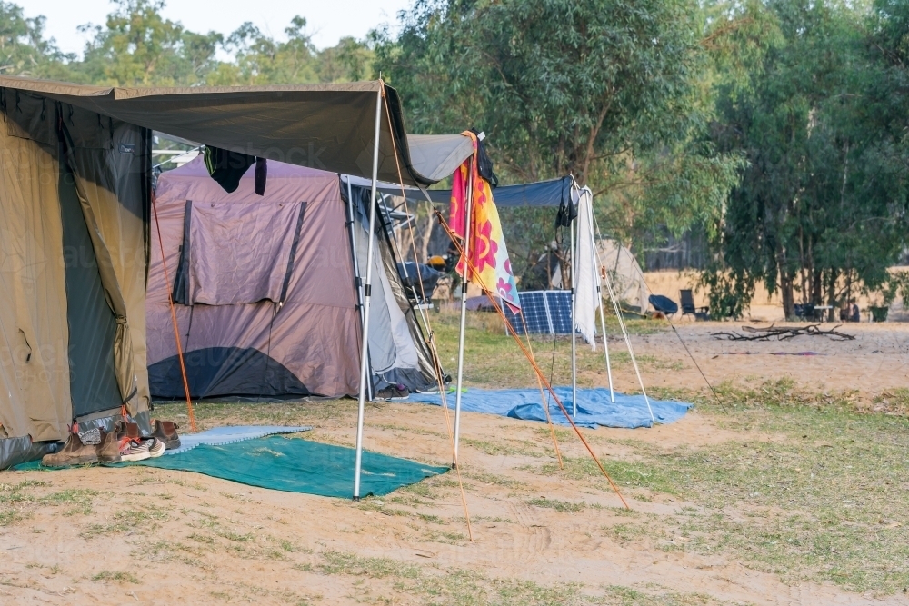 Image of A row of camping tents set up in a bush clearing. - Austockphoto