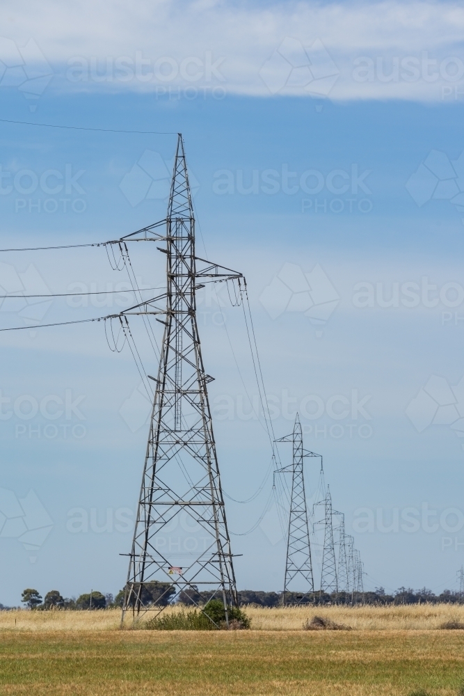 Image of A row of electricity stanchions receding into the distance ...