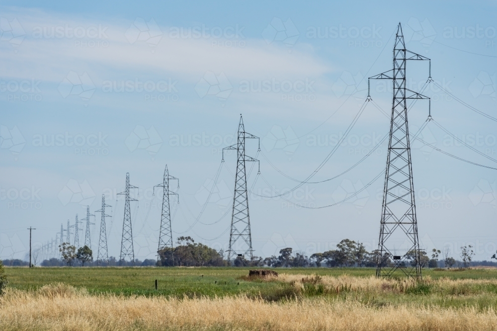 Image of A row of electricity stanchions receding into the distance ...