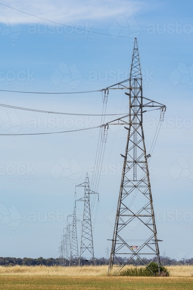 Image of A row of electricity stanchions receding into the distance ...