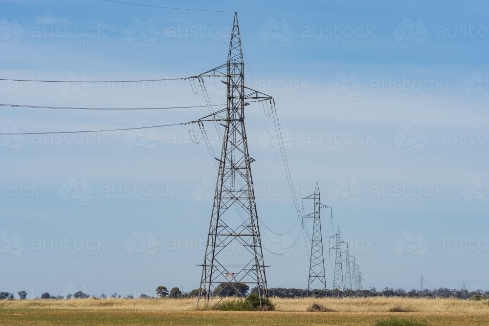 Image of A row of electricity stanchions receding into the distance ...