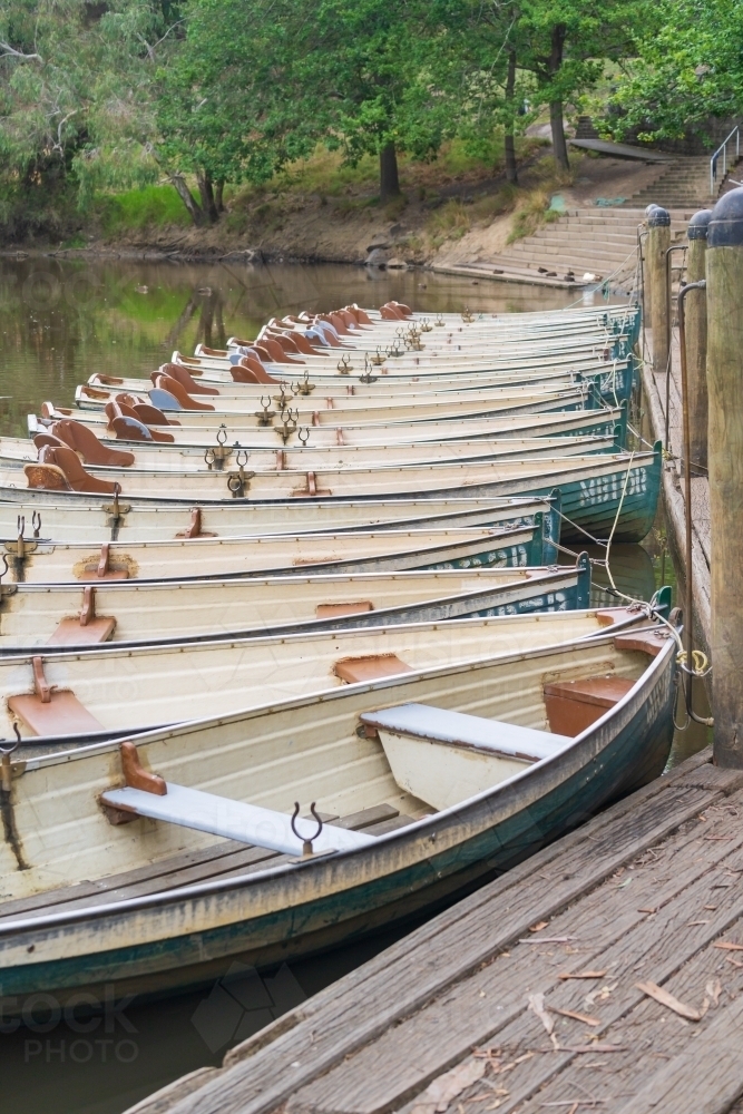 Image of A row of identical row boats lined up at a dock - Austockphoto