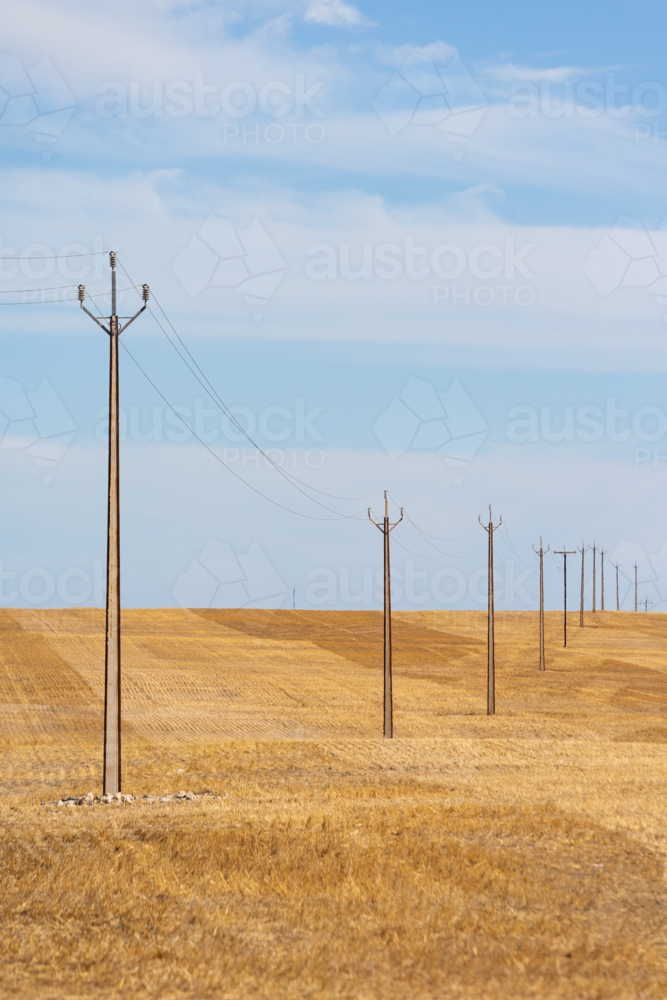 Image of A row of power poles in a farmers paddock dissapearing over a ...