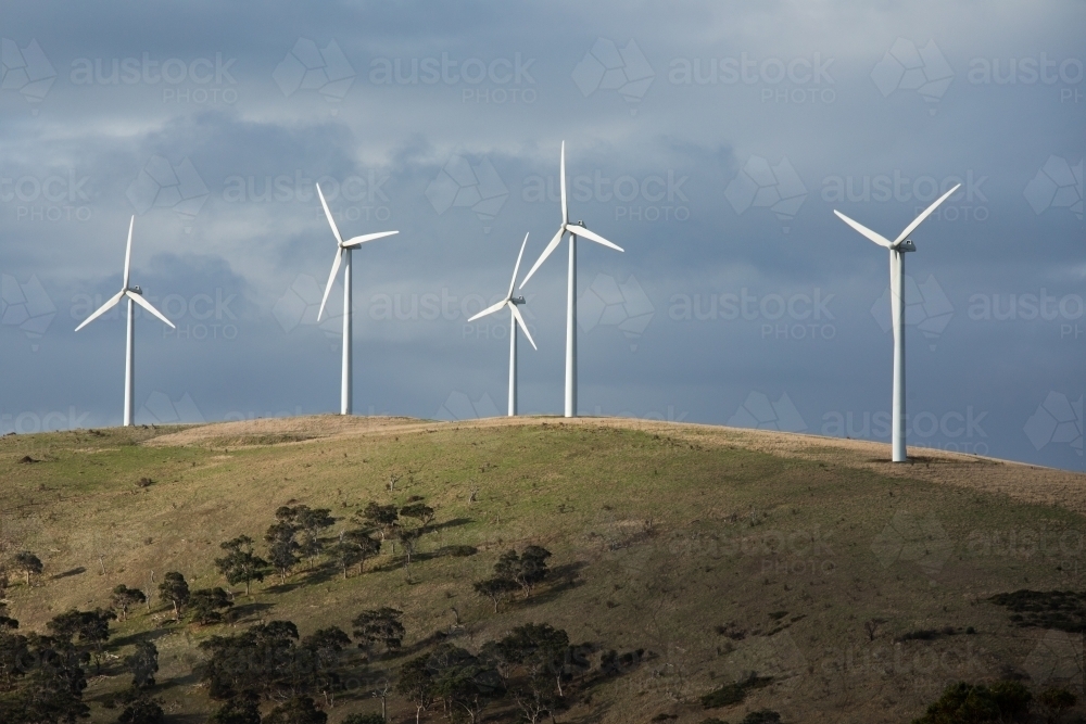 Image of A row of wind turbines on a grassy hill in a paddock ...