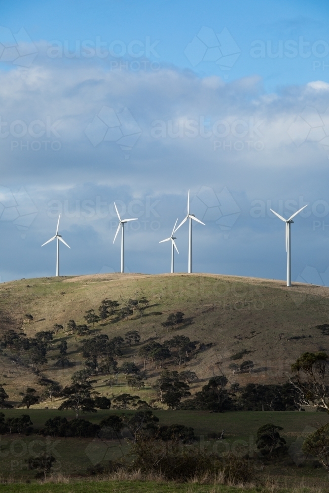 Image of A row of wind turbines on a grassy hill in a paddock ...