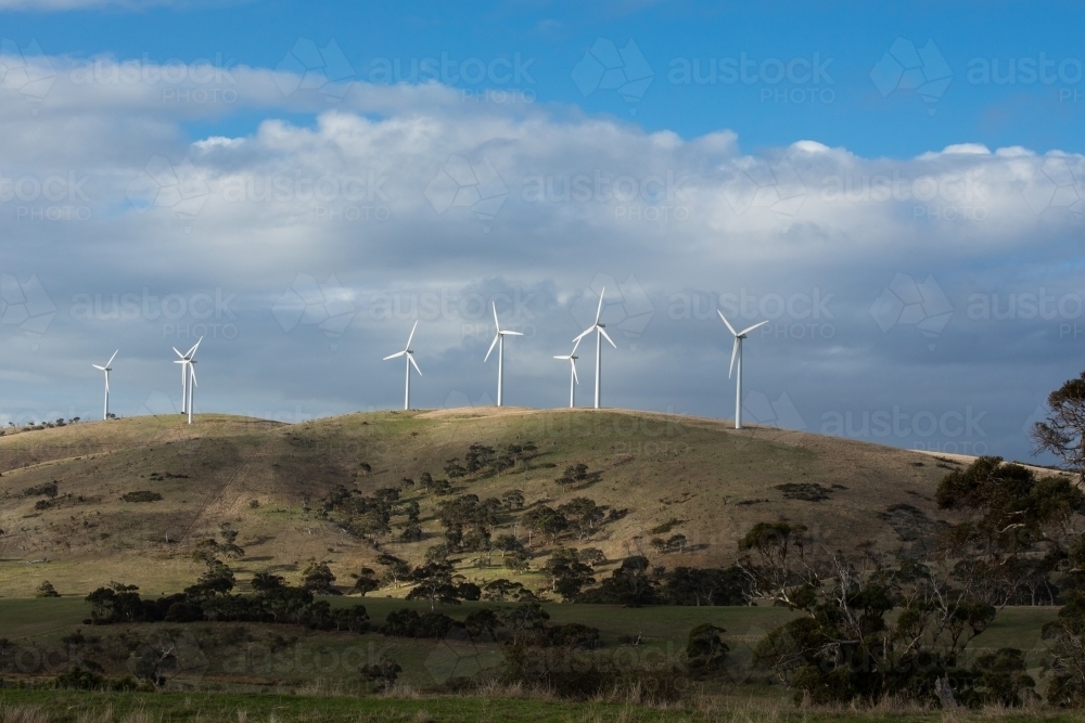 Image of A row of wind turbines on a grassy hill in a paddock ...