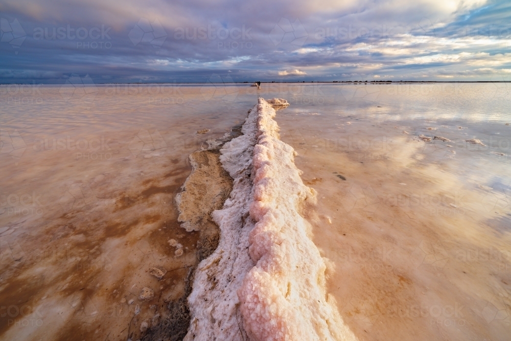 Image of A salt encrusted fence pointing out into a pink salt lake ...