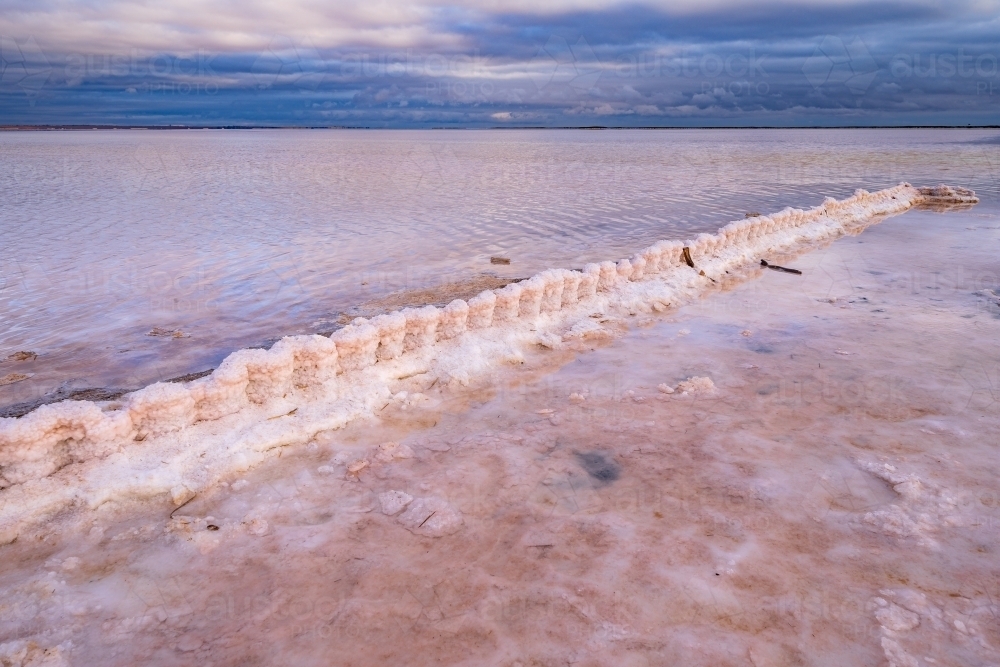 Image of A salt encrusted fence running out into a pink salt lake under ...
