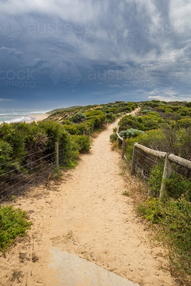 Image of A sandy walking track winding through vegetation under a dark ...