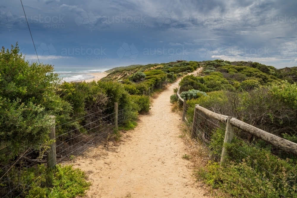 Image of A sandy walking track winding through vegetation under a dark ...