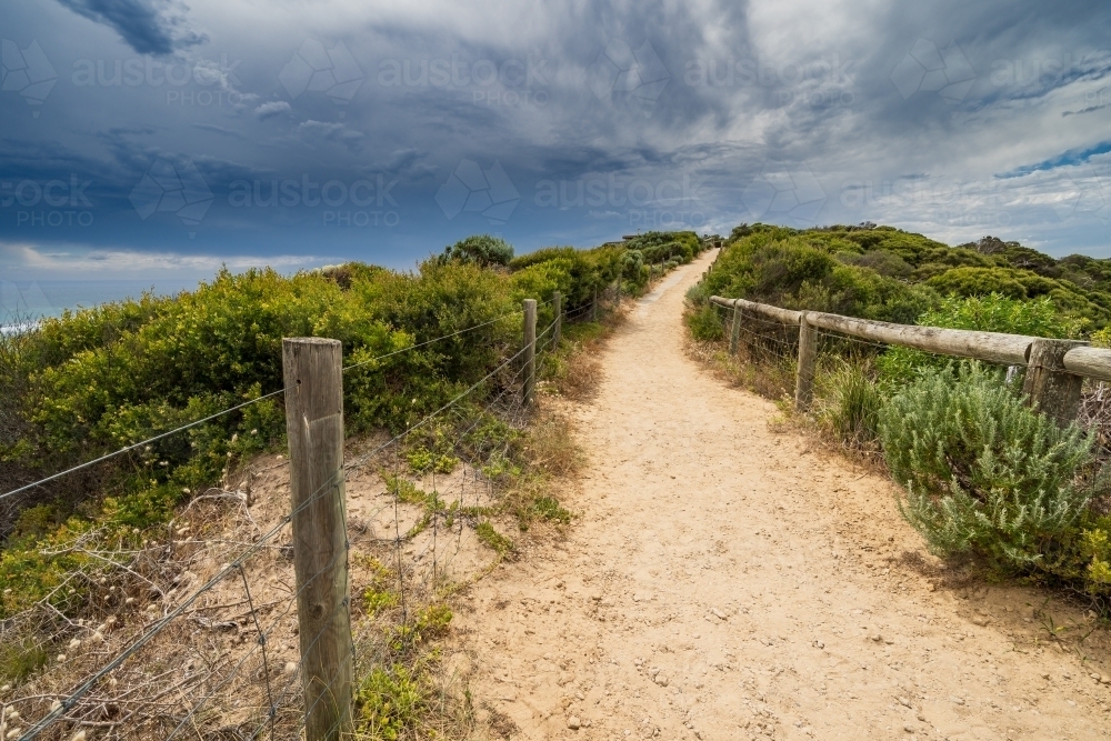 Image of A sandy walking track winding through vegetation under a dark ...