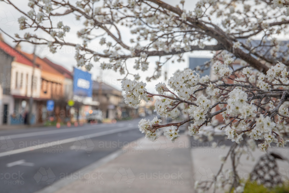Image of A small country town streetscape looking through spring ...