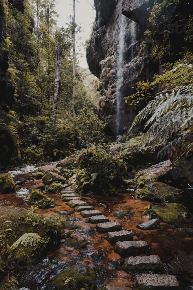 Image of A stone path winding through the lush rainforest on the Grand ...