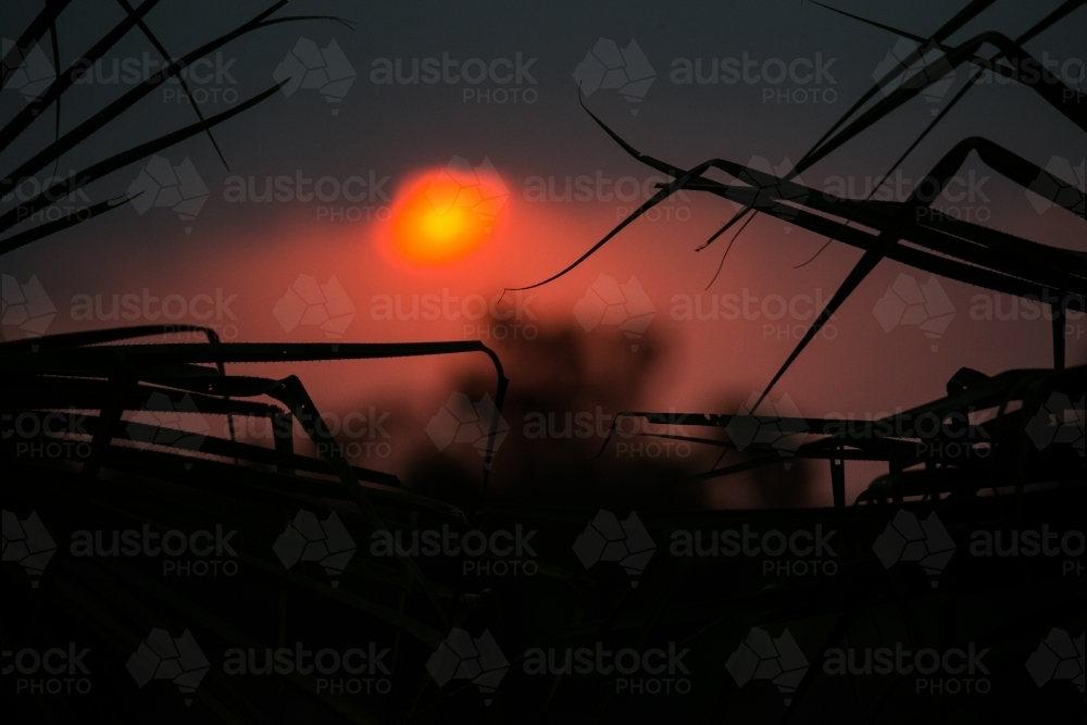 Image of A sun like a glowing orb during sunset creating a silhouette ...