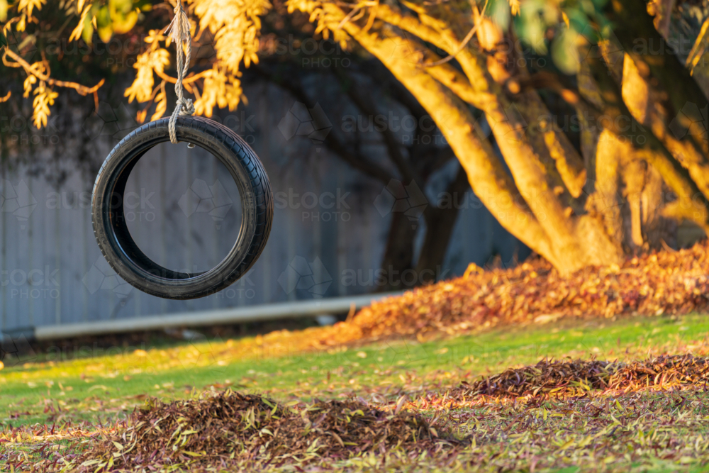 Image of A tyre swing hanging from a tree surrounded by piles of raked ...