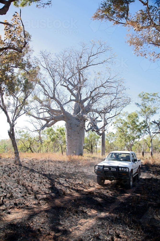 Image of A ute driving along a dirt road in the outback - Austockphoto