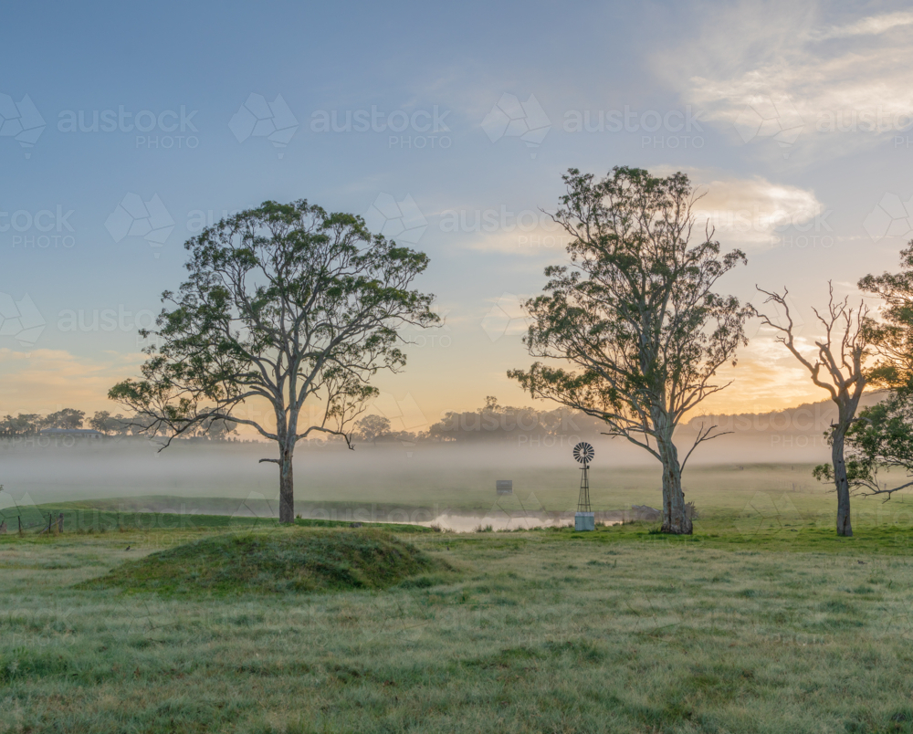 Image of A windmill in a green paddock with tall gum trees and a dawn ...