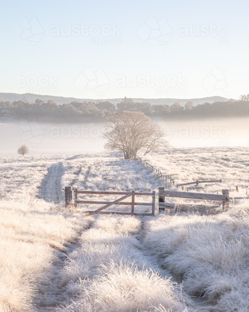 Image of A winter scene in the country - Austockphoto