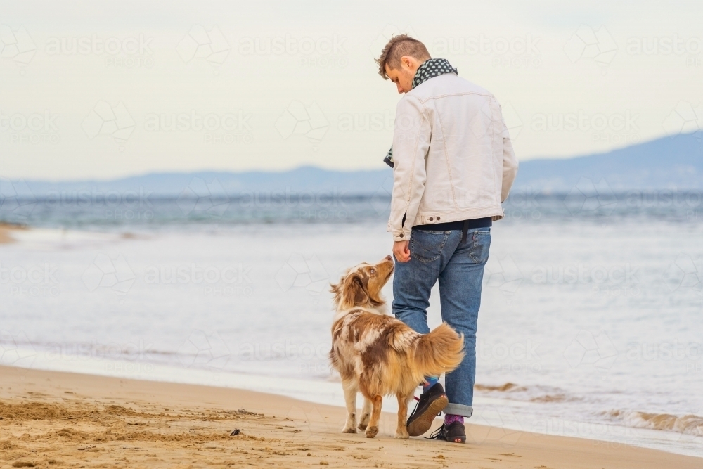 Image of A young man walking a fluffy dog on a deserted beach on an ...